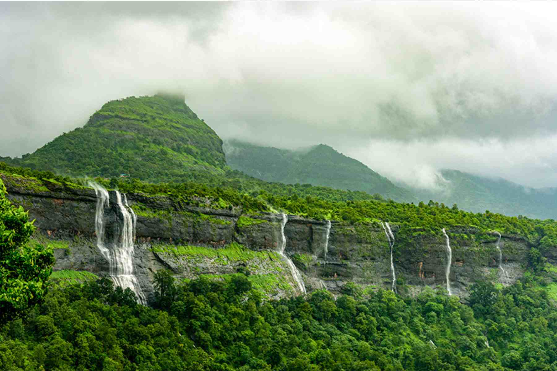 Nature Nexus – Connecting souls with Nature